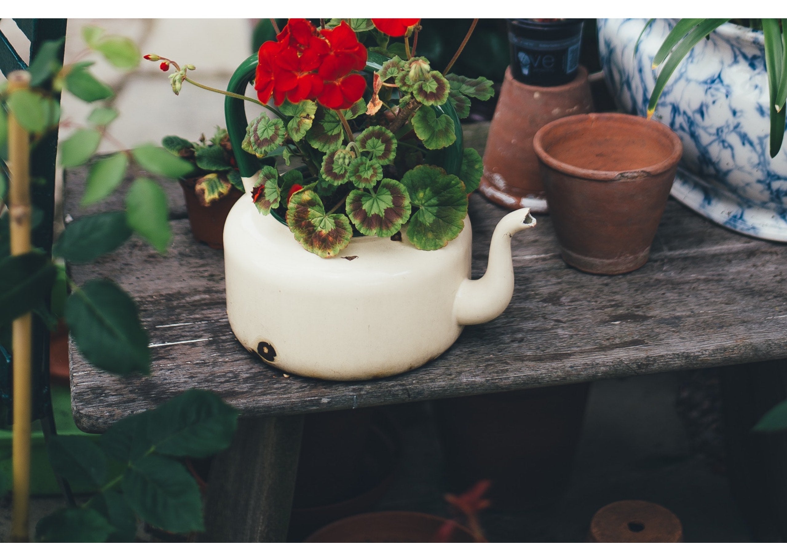 Types of Cancer Treatments - Leveling Health Publishing