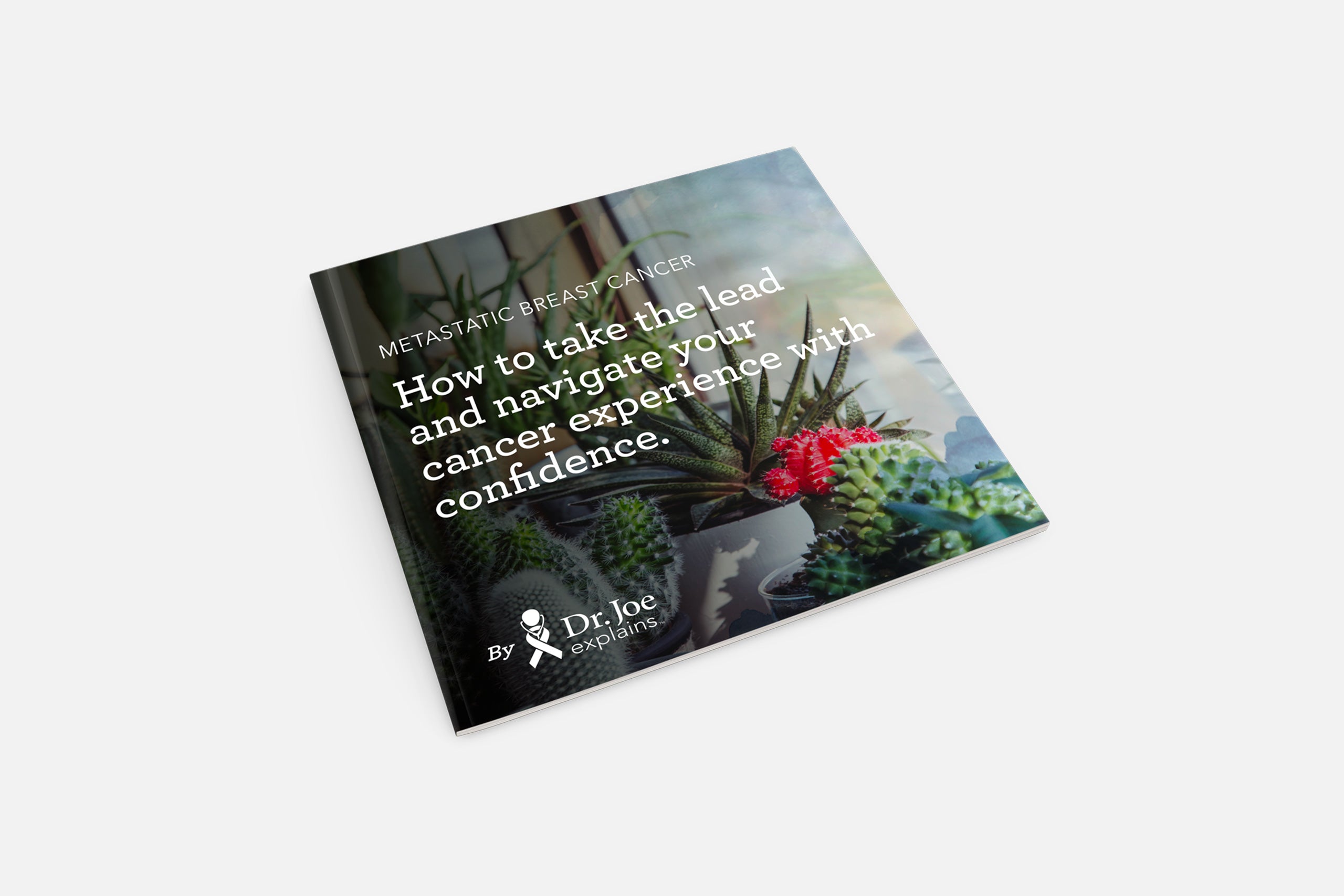 Empowering Patients with Our Metastatic Breast Cancer Book - Leveling ...